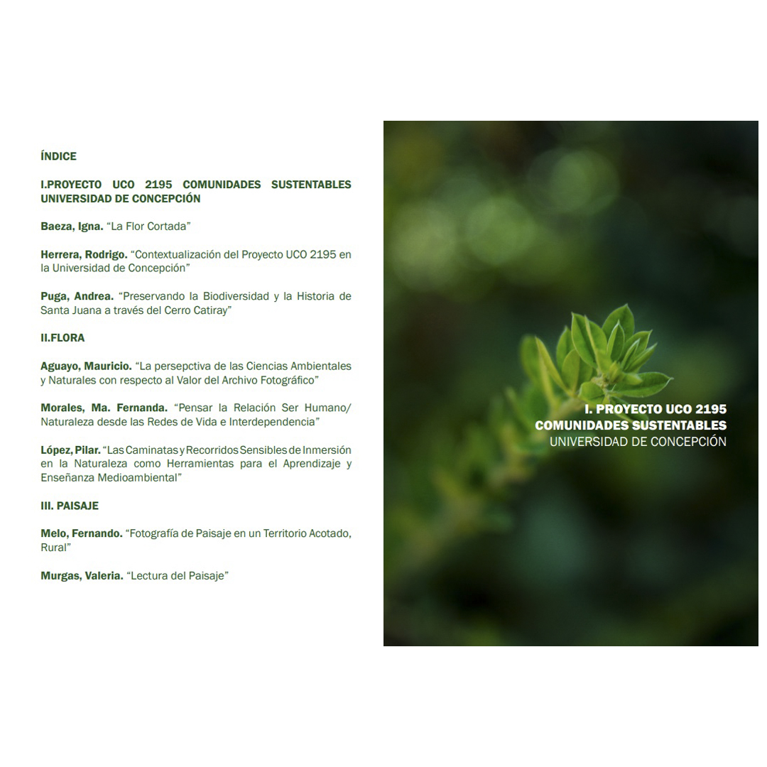 “Catiray: Flor cortada”: relato fotográfico del cerro Catiray de Santa Juana | vrim2.udec.cl